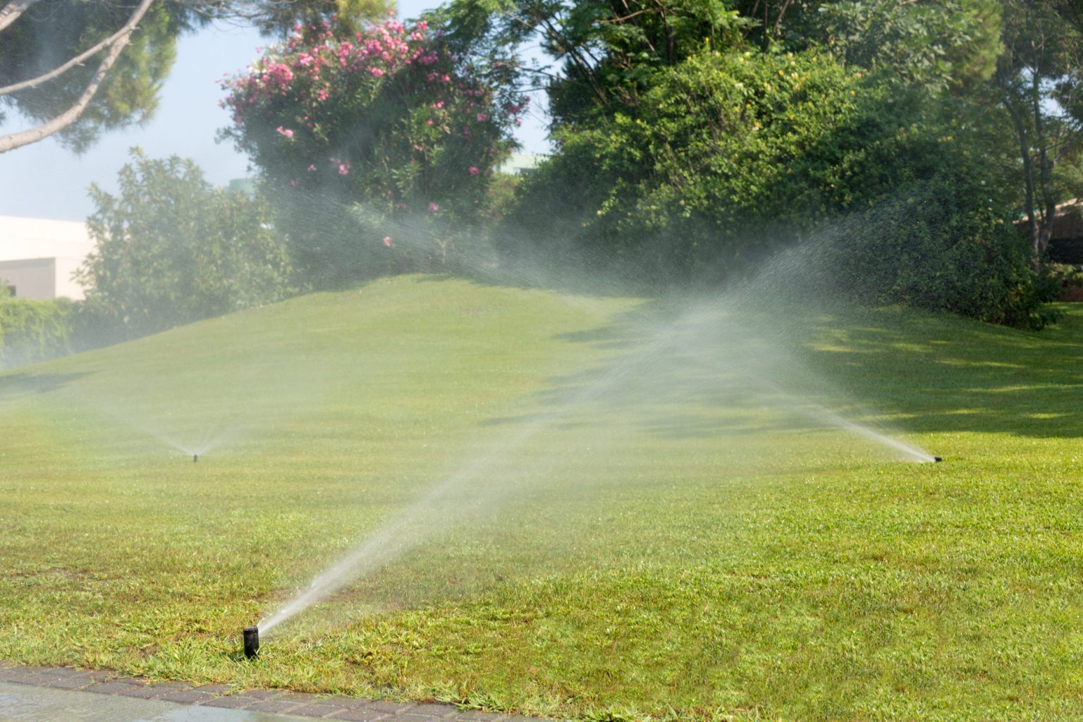 Irrigation: Best Practices - Pezza Landscape, Inc.