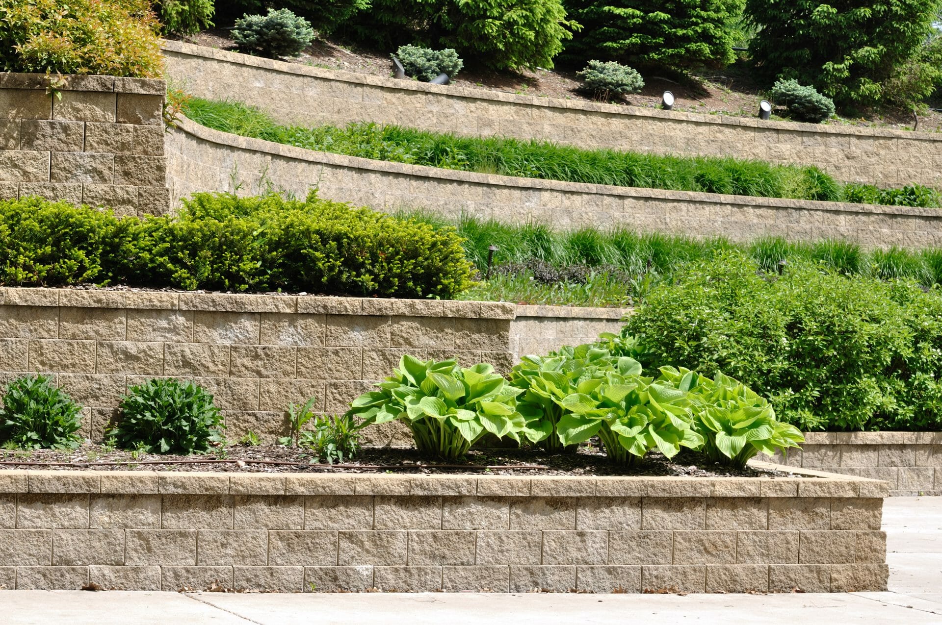 Utilize Vertical Space In Your Landscape - Pezza Landscape, Inc.