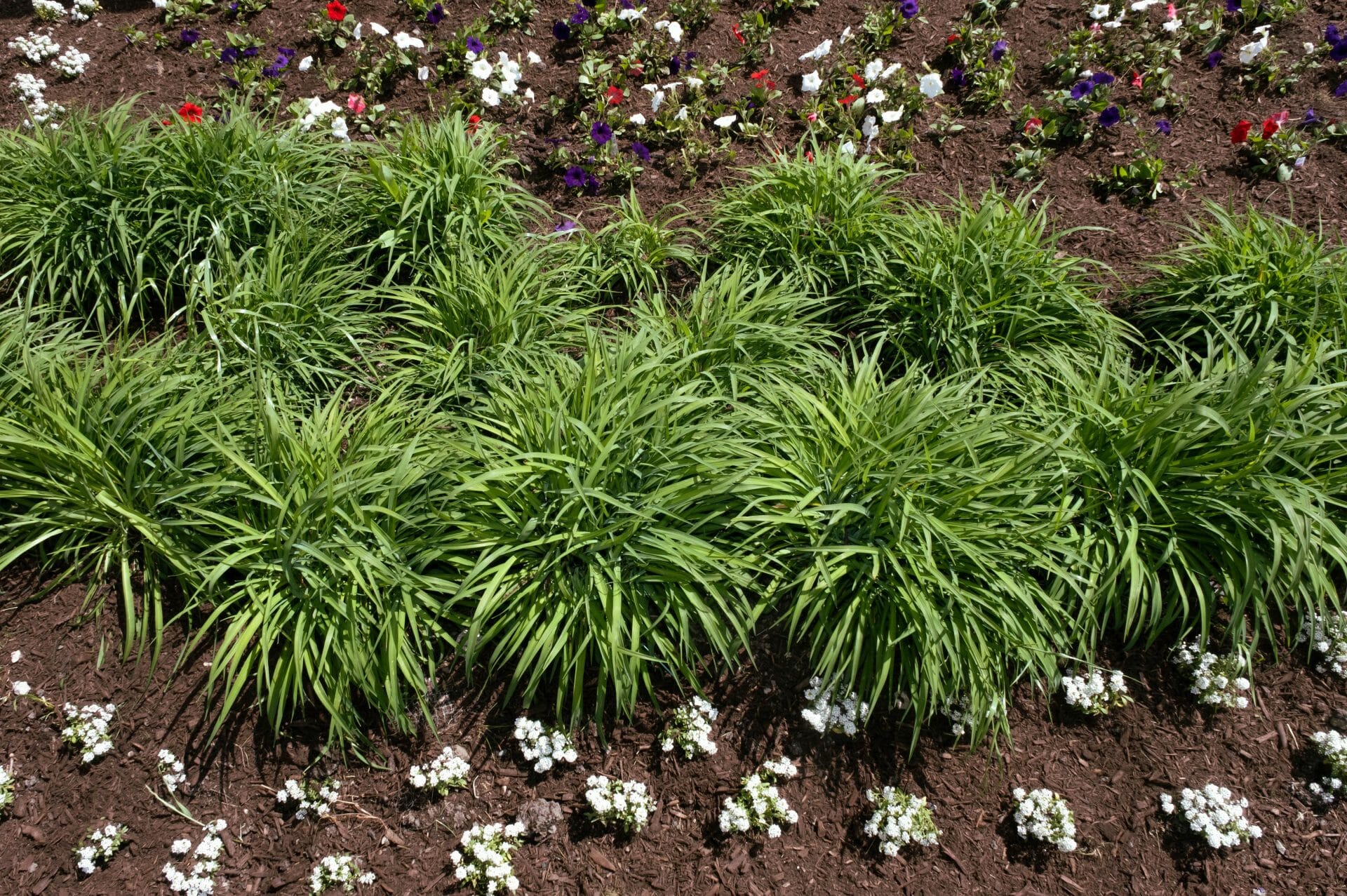 Eco-Friendly Tips for a Sustainable Landscape - Pezza Landscape, Inc.