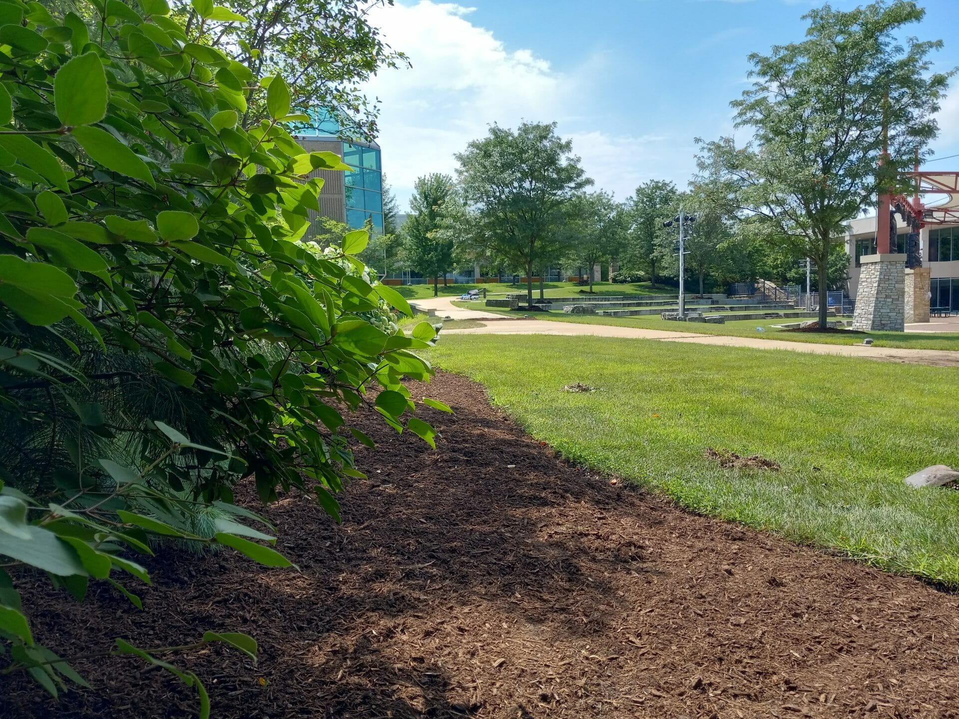 Beauty with Less Water: Sustainable Landscaping Solutions for a Greener ...