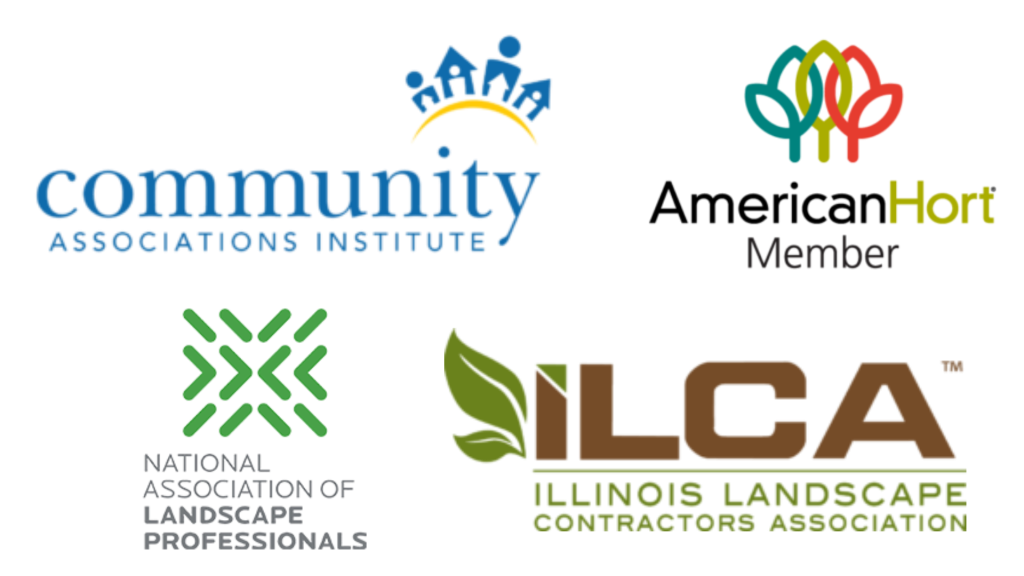 Meet Our Team: Trained Professionals Shaping Your Landscape - Pezza ...