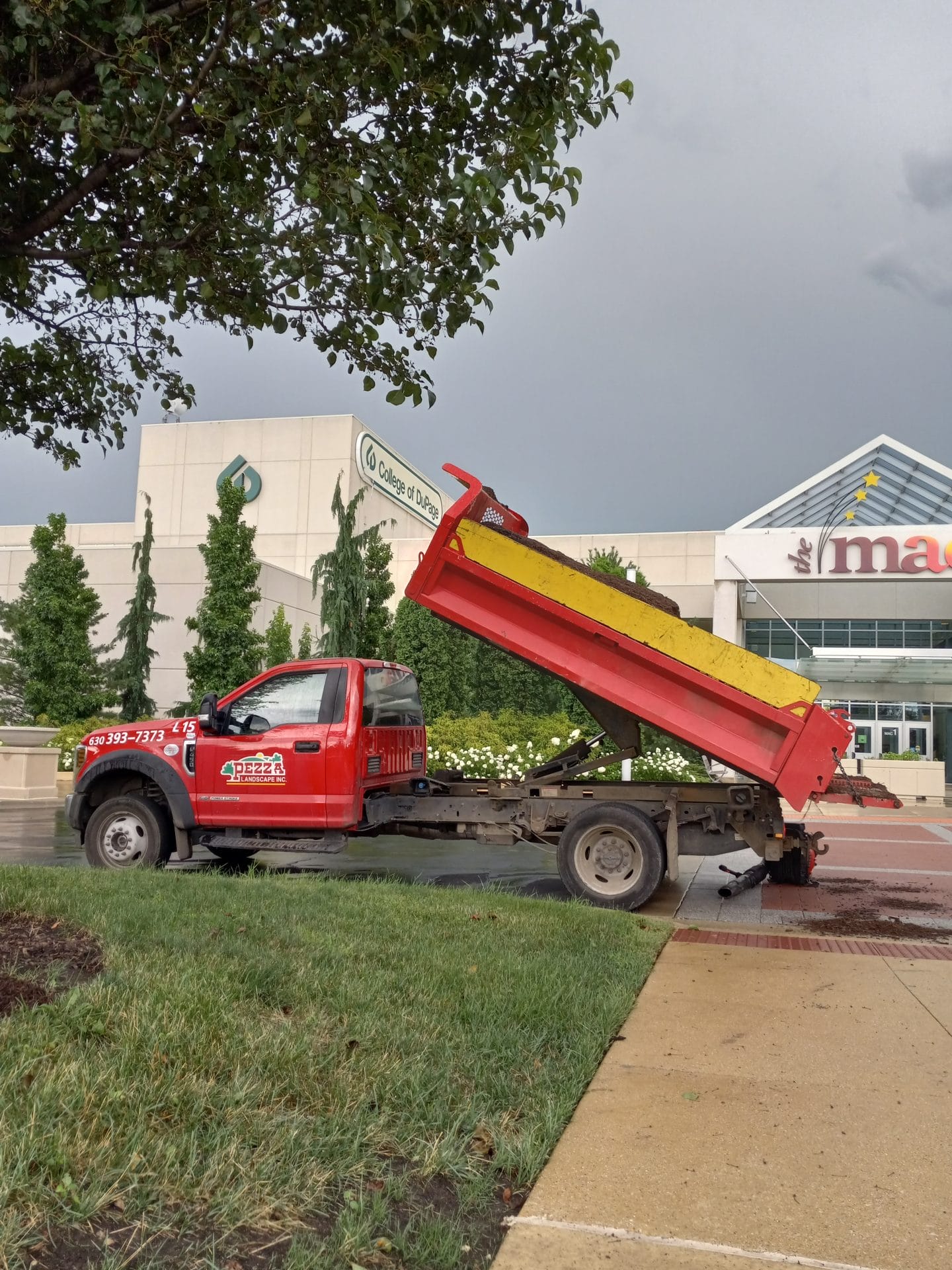 Discover Pezza Services: Your Partner for Exceptional Landscaping ...