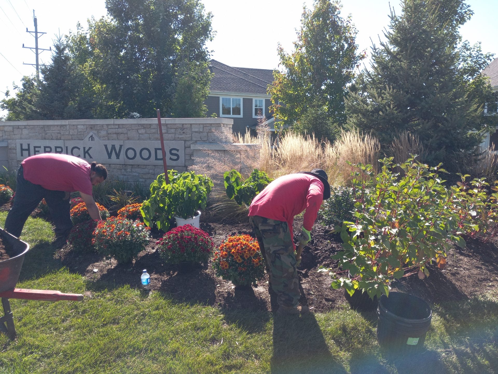 The Mulch Guide: Benefits and Tips for Your Landscape - Pezza Landscape ...
