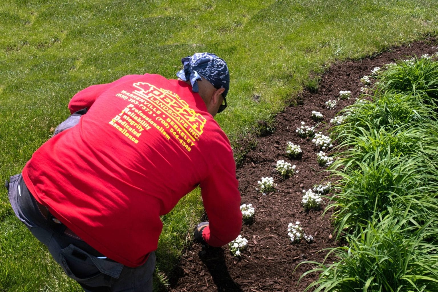 Embracing Sustainability: How to Create Eco-Friendly Landscapes - Pezza ...