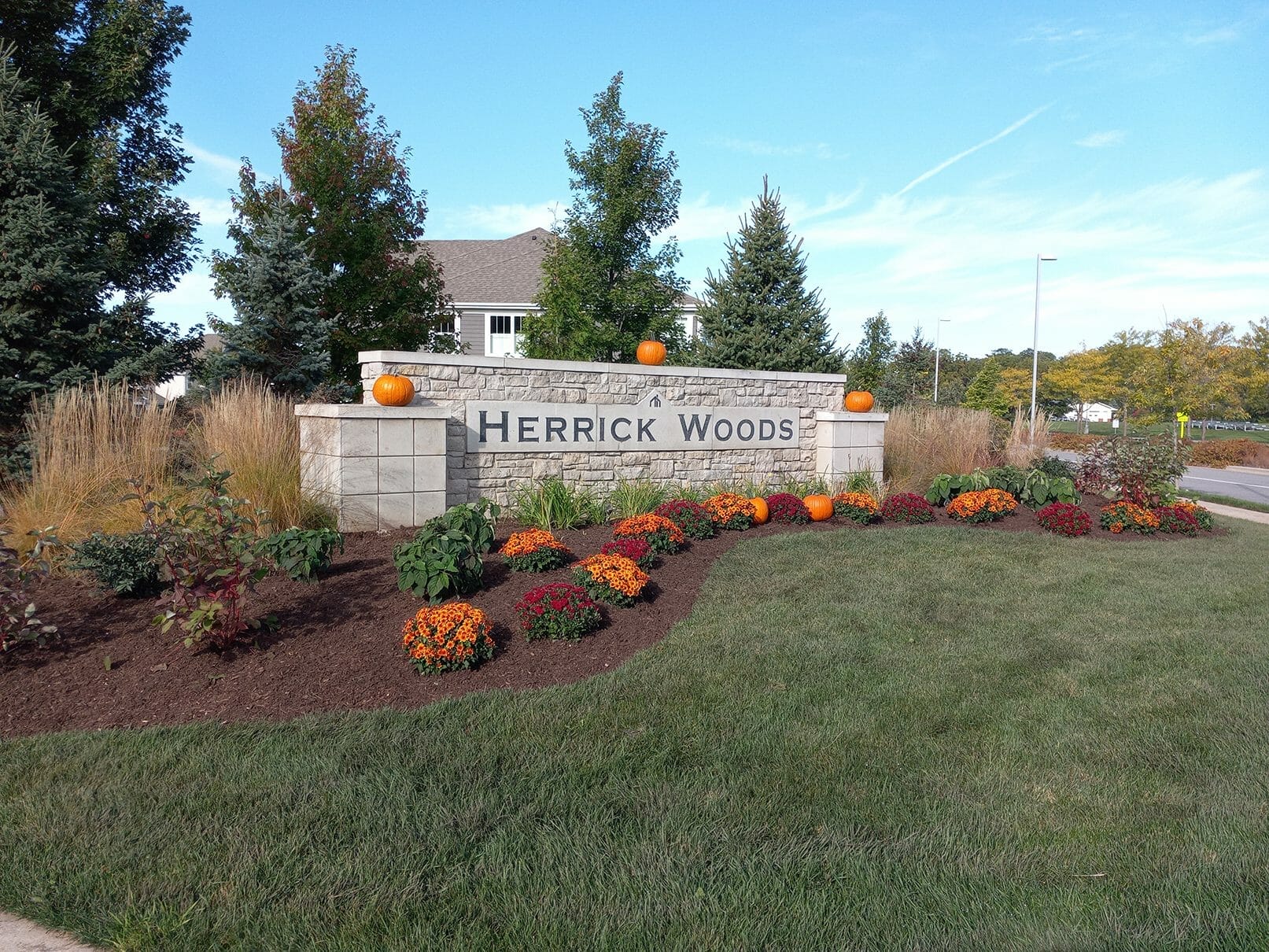Halloween Landscape Prep: Transform Your Yard into a Spooky, Clean ...