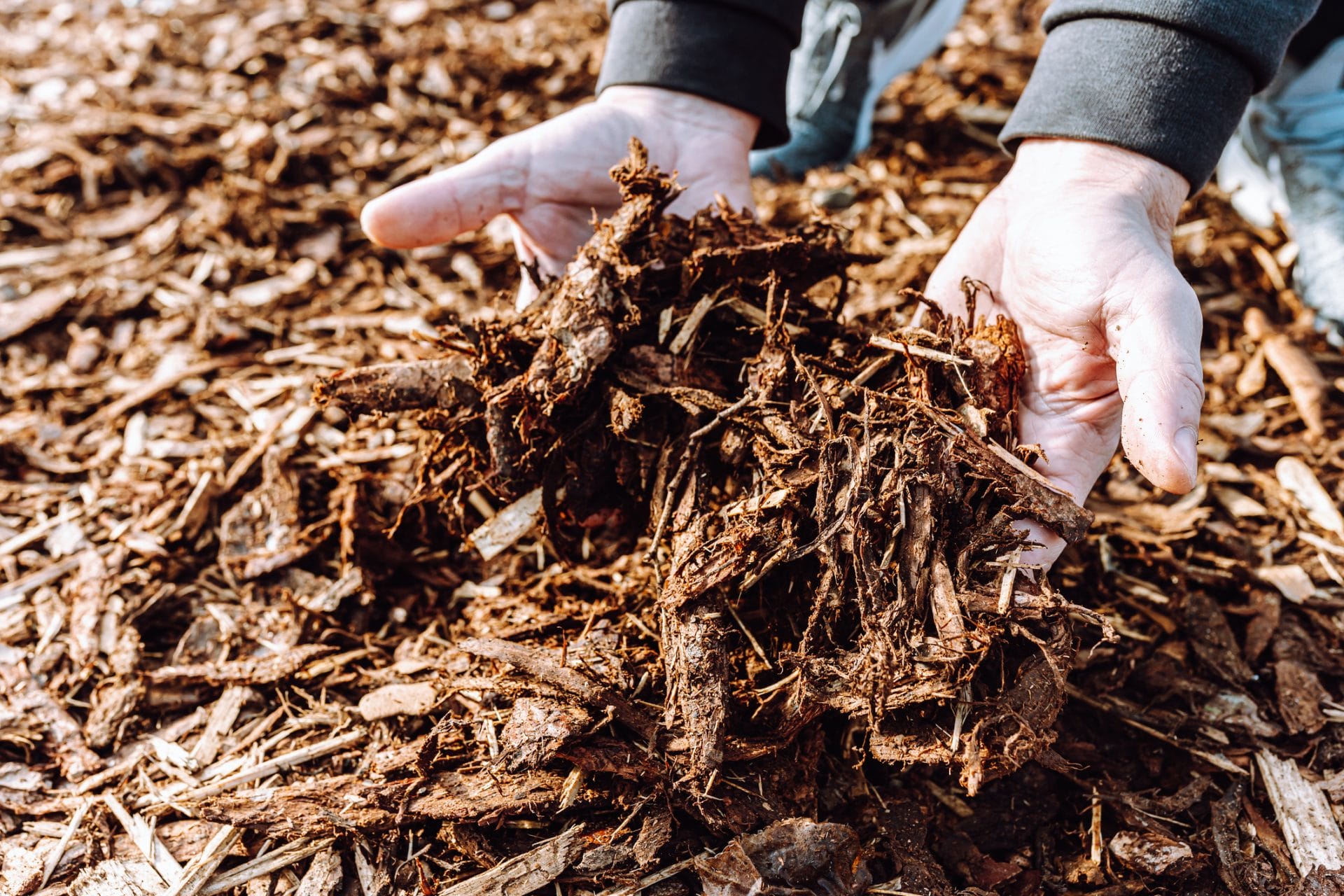Protecting Your Plants: The Importance of Mulching in Fall - Pezza ...